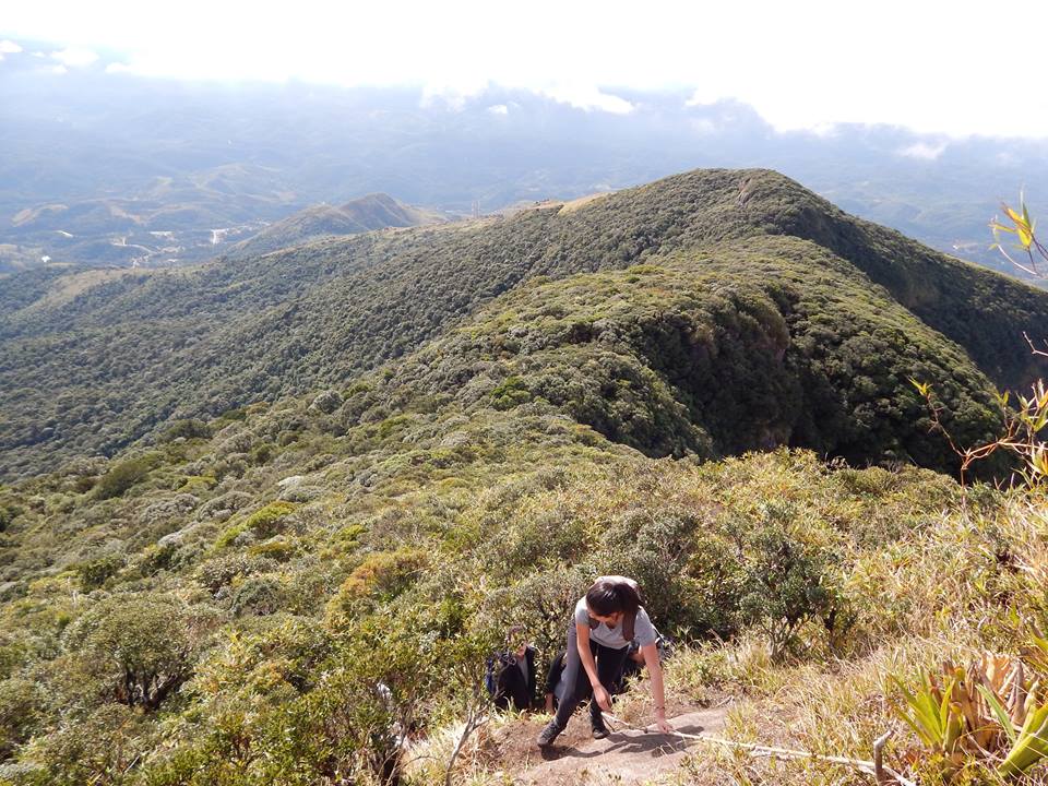 Prof. Fernando Bonato: Visita Técnica ao Morro do Capivari - Campina ...