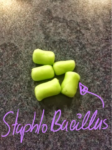 Set The House Spider Free: Play Dough Bacteria