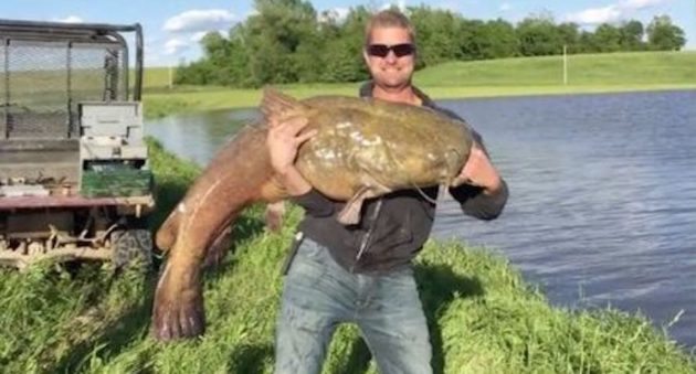 International Fishing News: US: caught in Illinois a record size ...