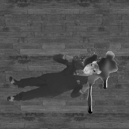 Murder Mystery: Crime Scene Photos