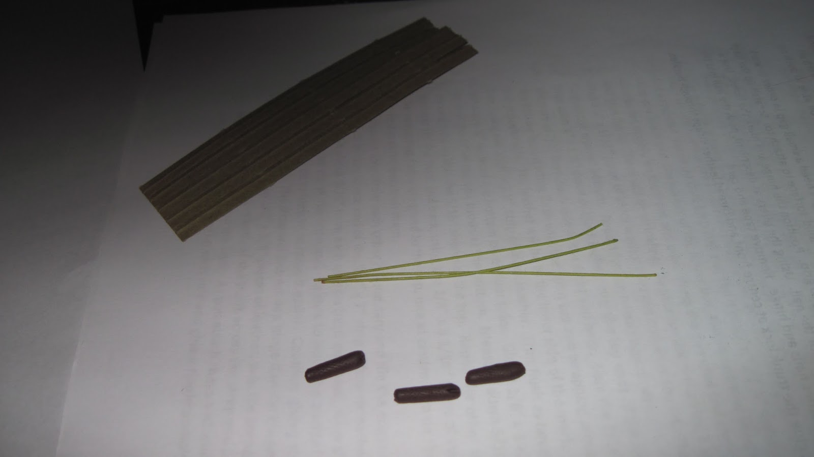 pulchinella's cellar miniatures: How to Make Miniature Cattails or ...