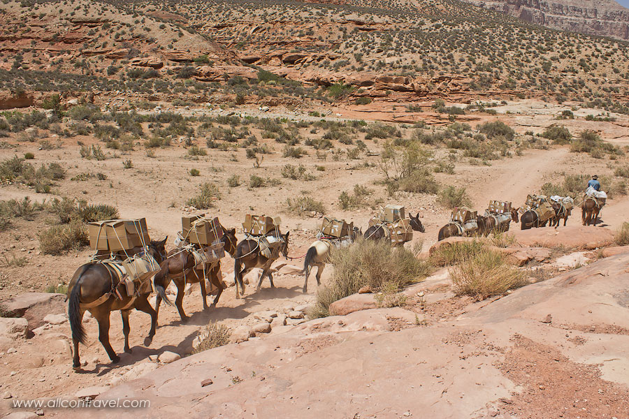 TRAVEL WITH ME: Havasupai, Grand Canyon, AZ (Part 1. Supai Village)
