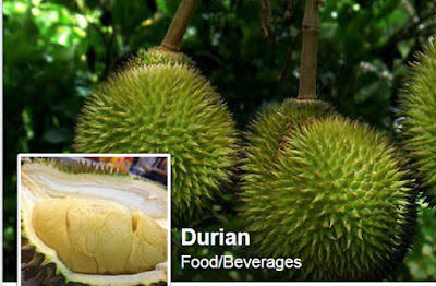 Durian Info: Durian Varieties In Malaysia