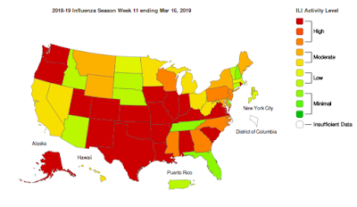 Avian Flu Diary: CDC FluView Week 11: Flu Season Continues Strong As ...