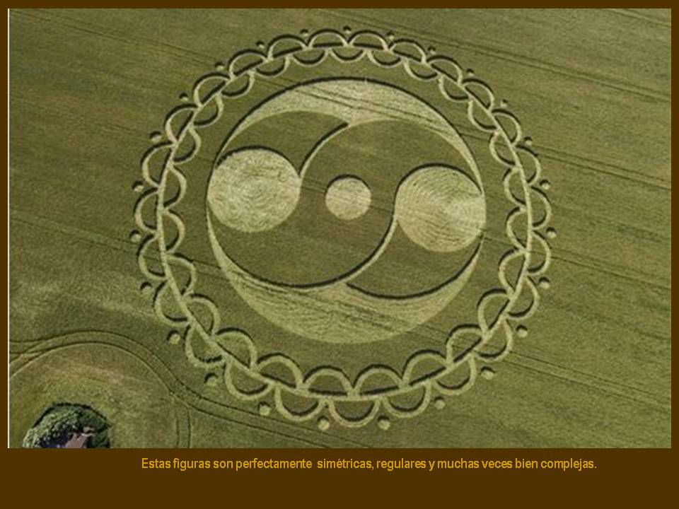 Viajes Política y Ocio: AGROGLIFOS