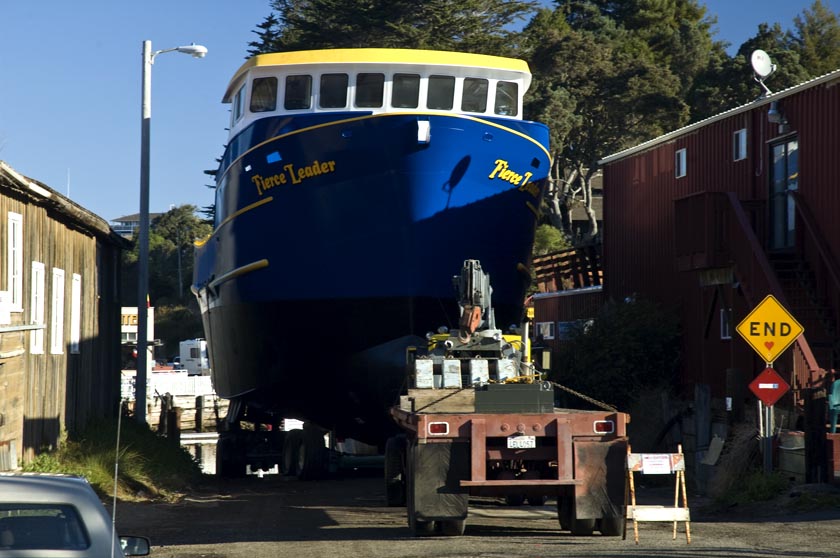 Elisa Rae Photography: The Launch of the "Fierce Leader"