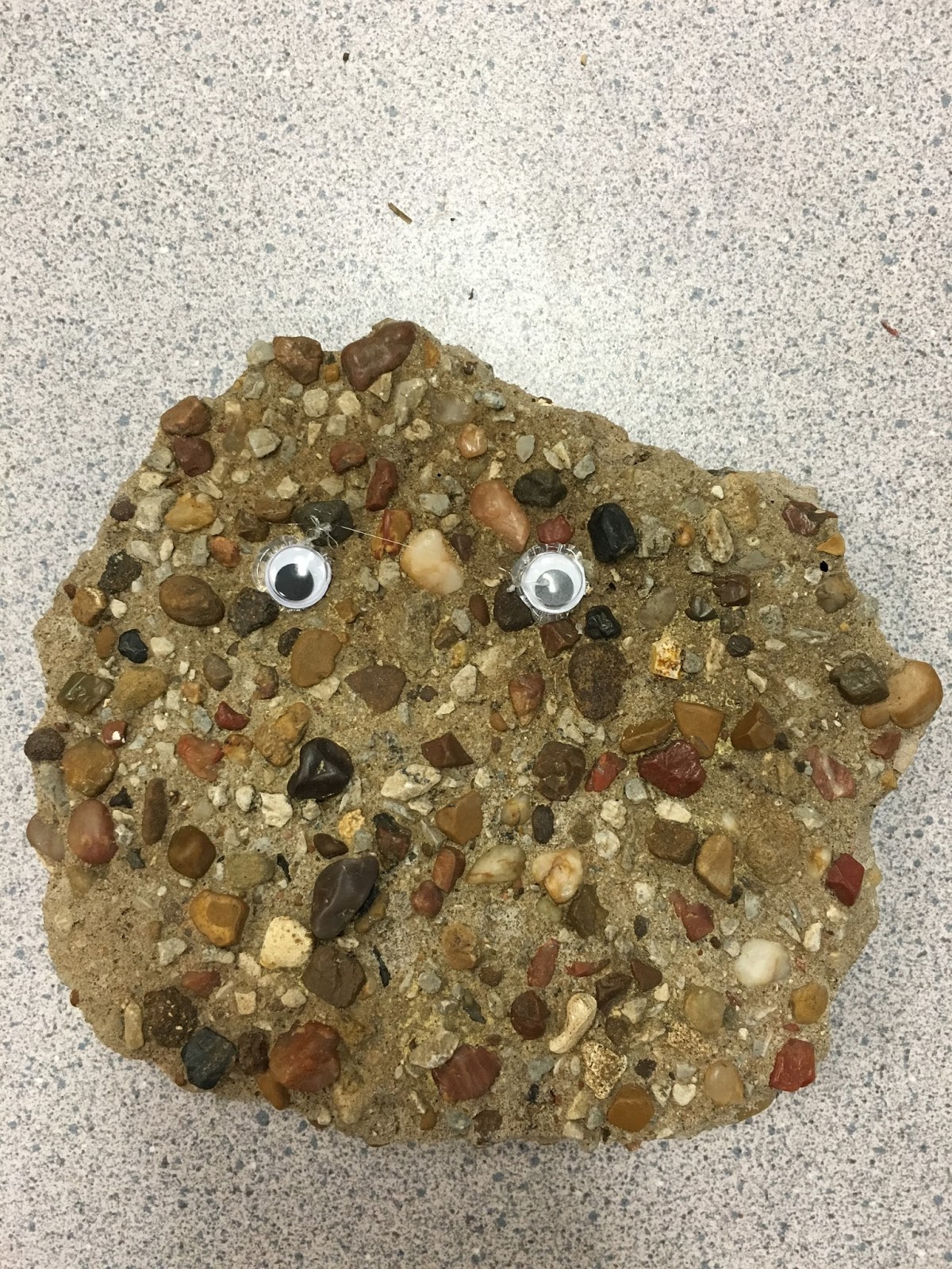 Adventures With Firsties: Pet Rocks Rock!!!