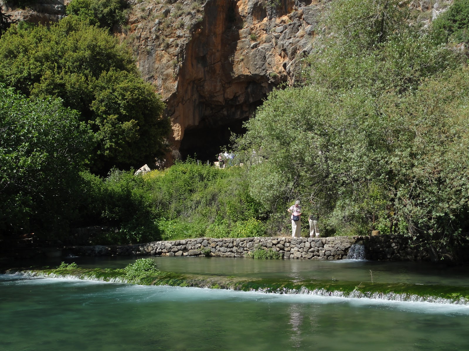 Carol's Corner: Banias Spring