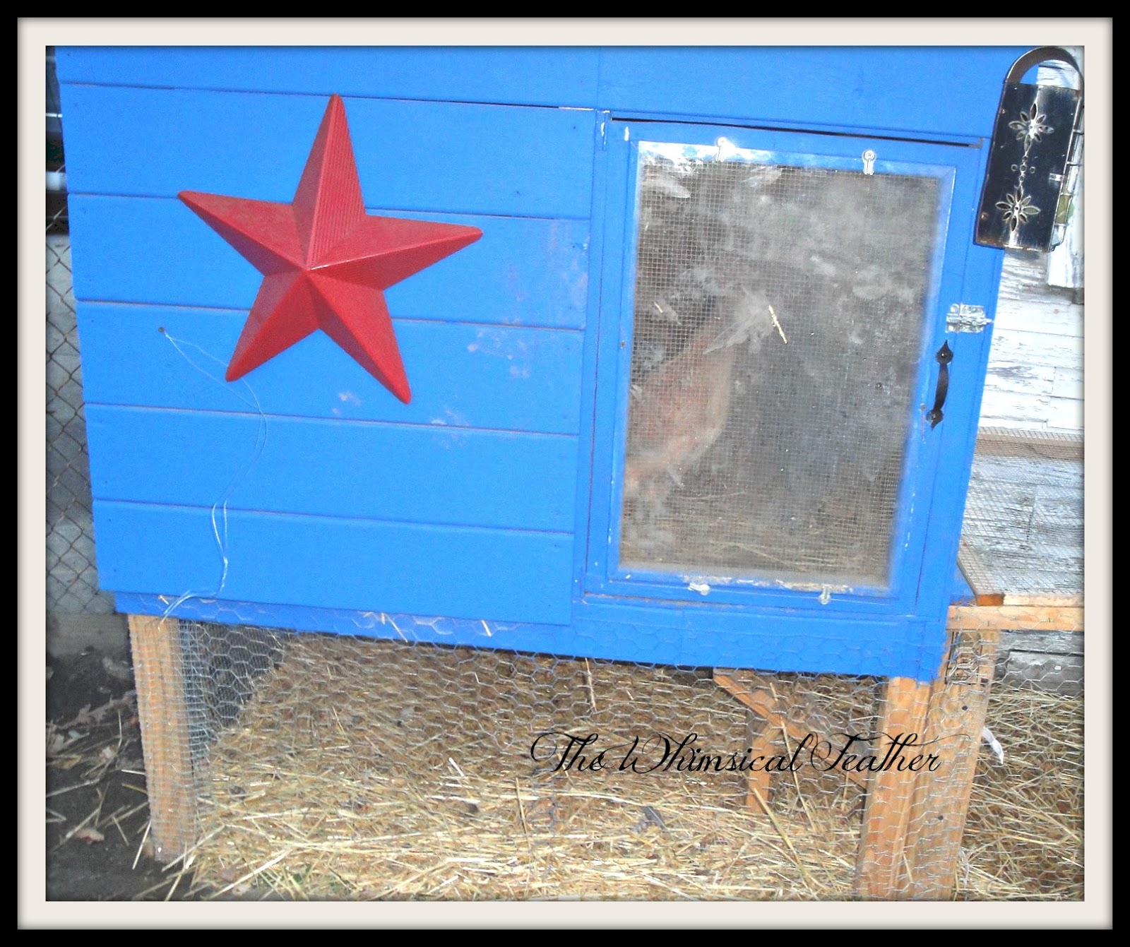 The Whimsical Feather: Barn Stars