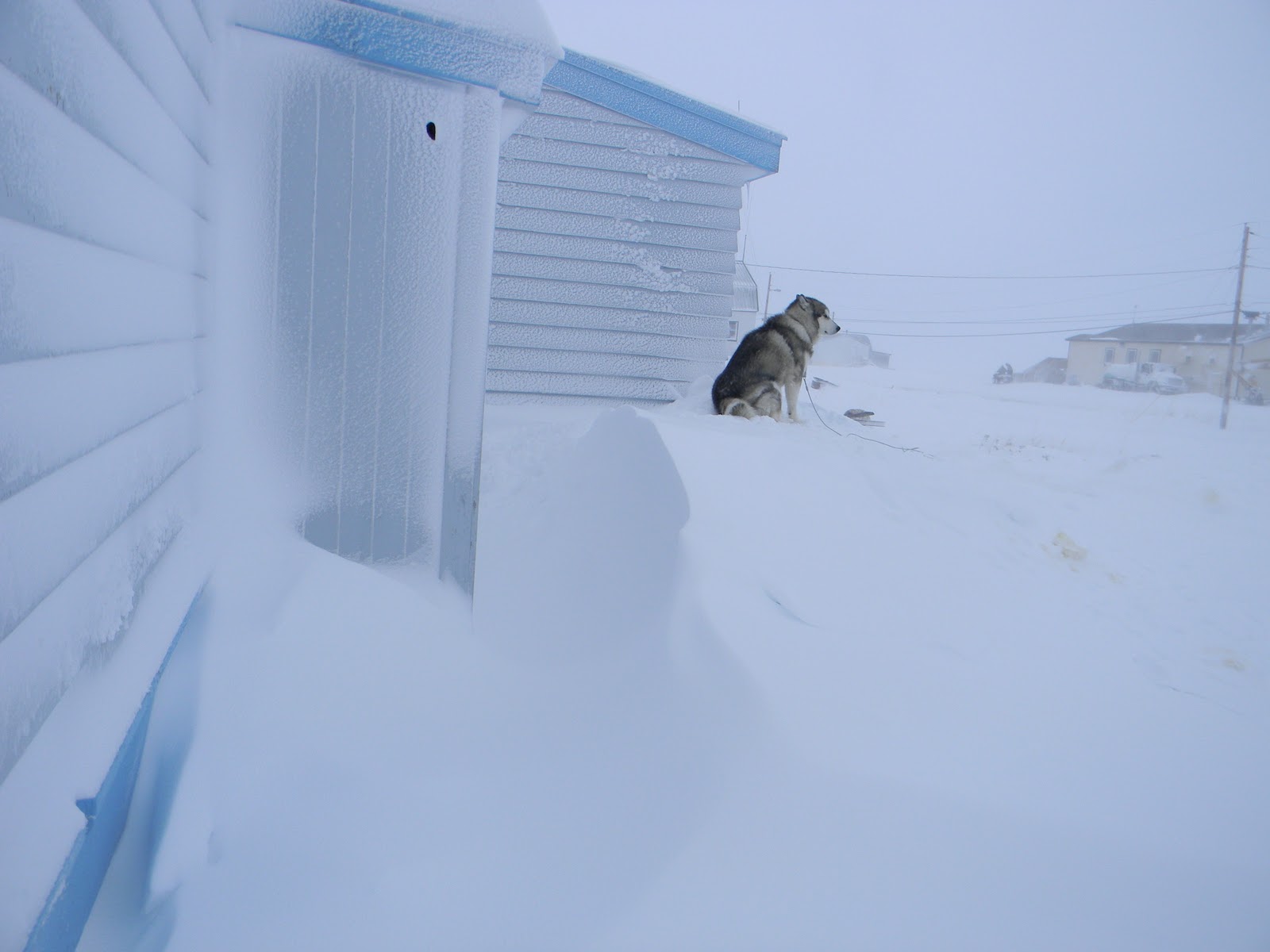 Alaska: After the blizzard