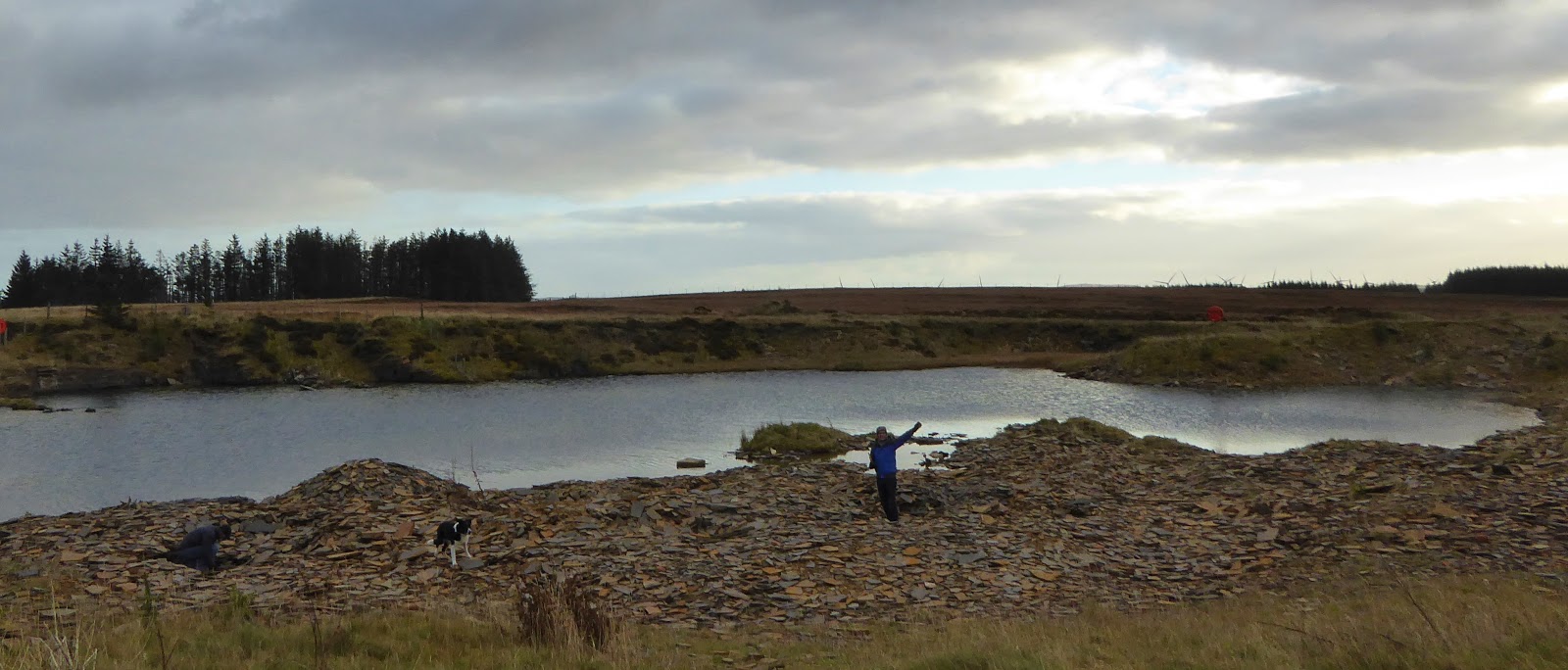 Big Gorse Bush: Fossil Hunting at Achanarras Quarry, Caithness