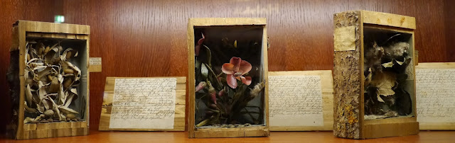 ArtLibraryCrawl: dOCUMENTA13: Bibliophilia