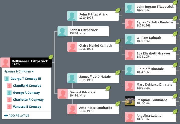 Who is Kellyanne Fitzpatrick Conway who works for Donald Trump ...