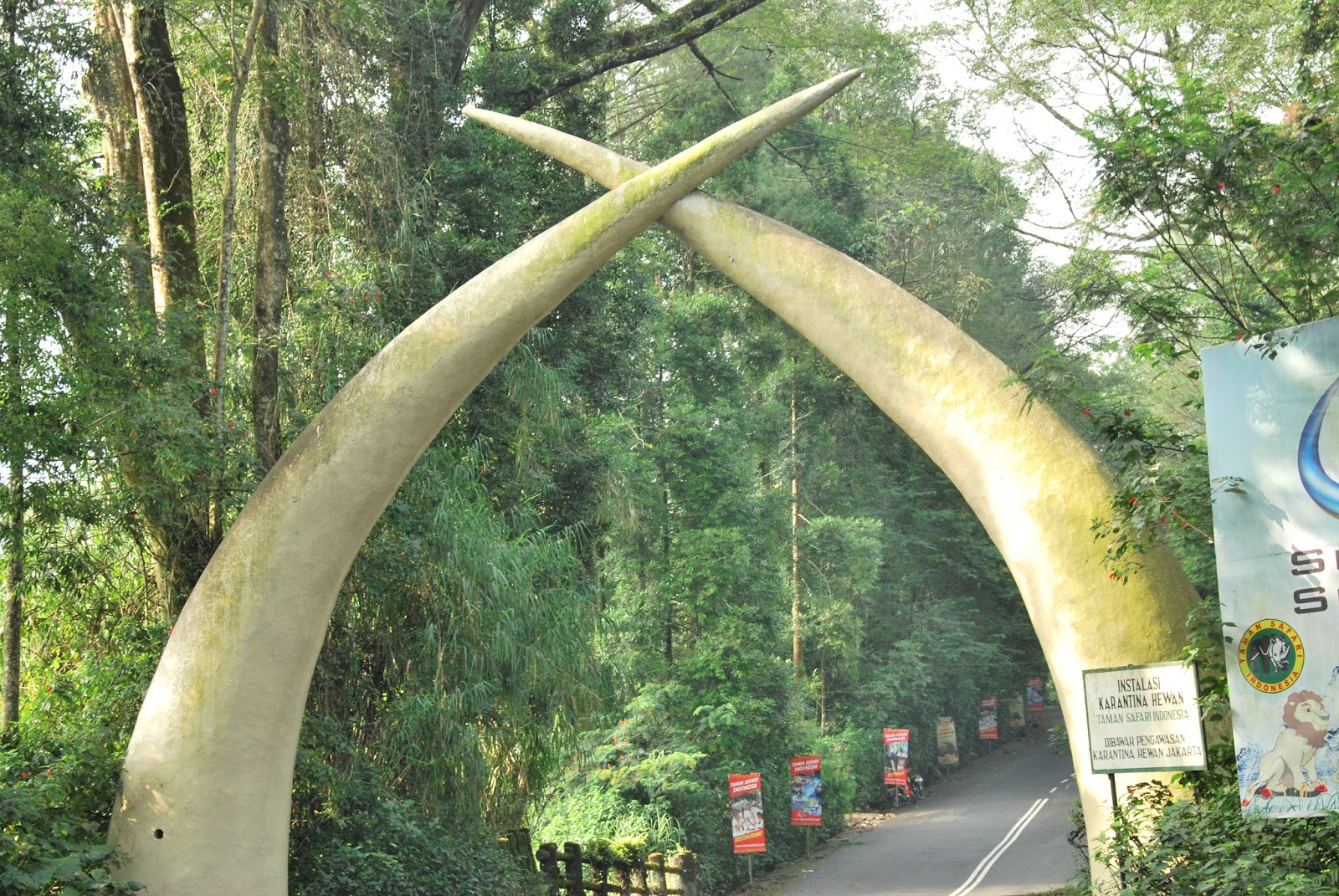 Taman Safari Cisarua Bogor, wisata seru keluarga
