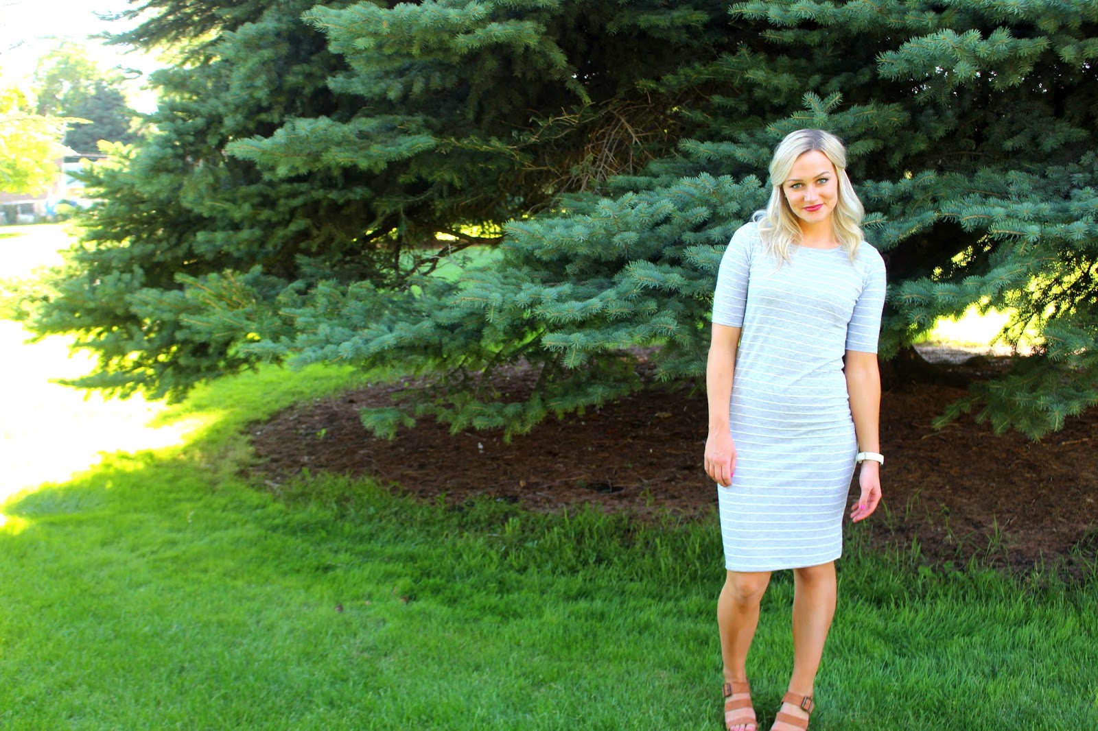 Julia Dress from LulaRoe - Ivy Van Dusen