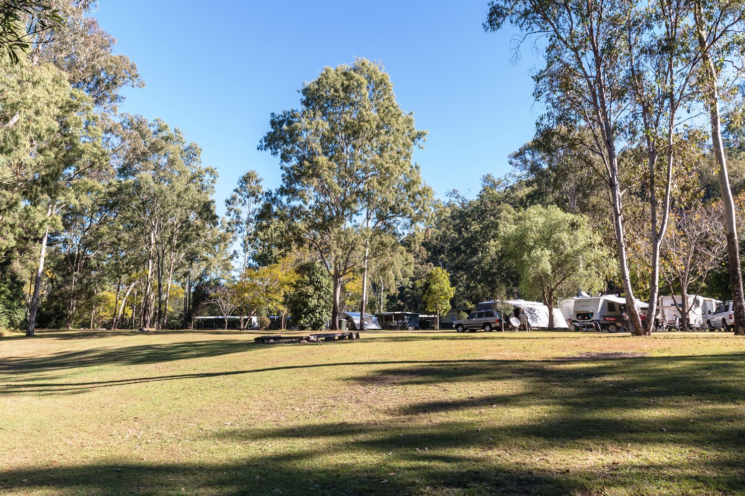 National Park Odyssey: Cania Gorge Tourist Retreat, Cania Gorge, Monto ...