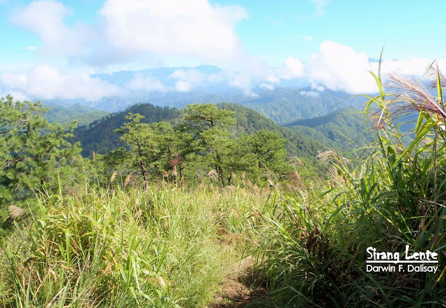 SIRANG LENTE: Mt. Ugo Traverse | Nueva Vizcaya to Benguet