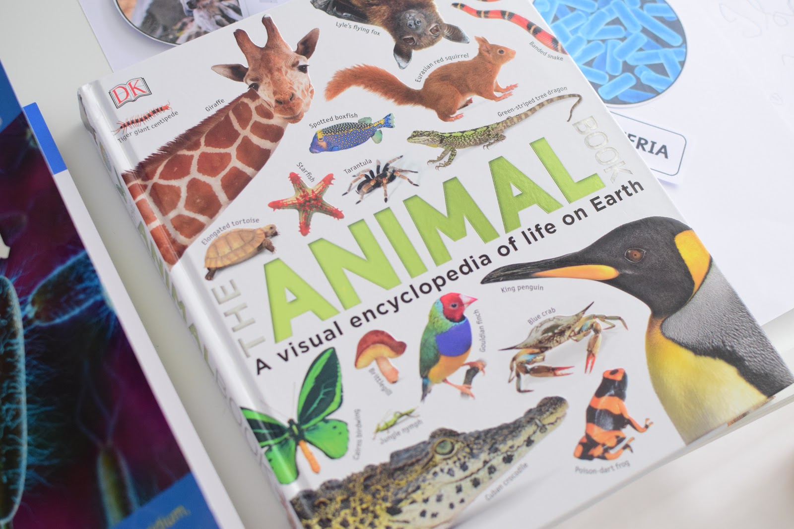 Introducing the 6 Kingdoms of Life | The Pinay Homeschooler