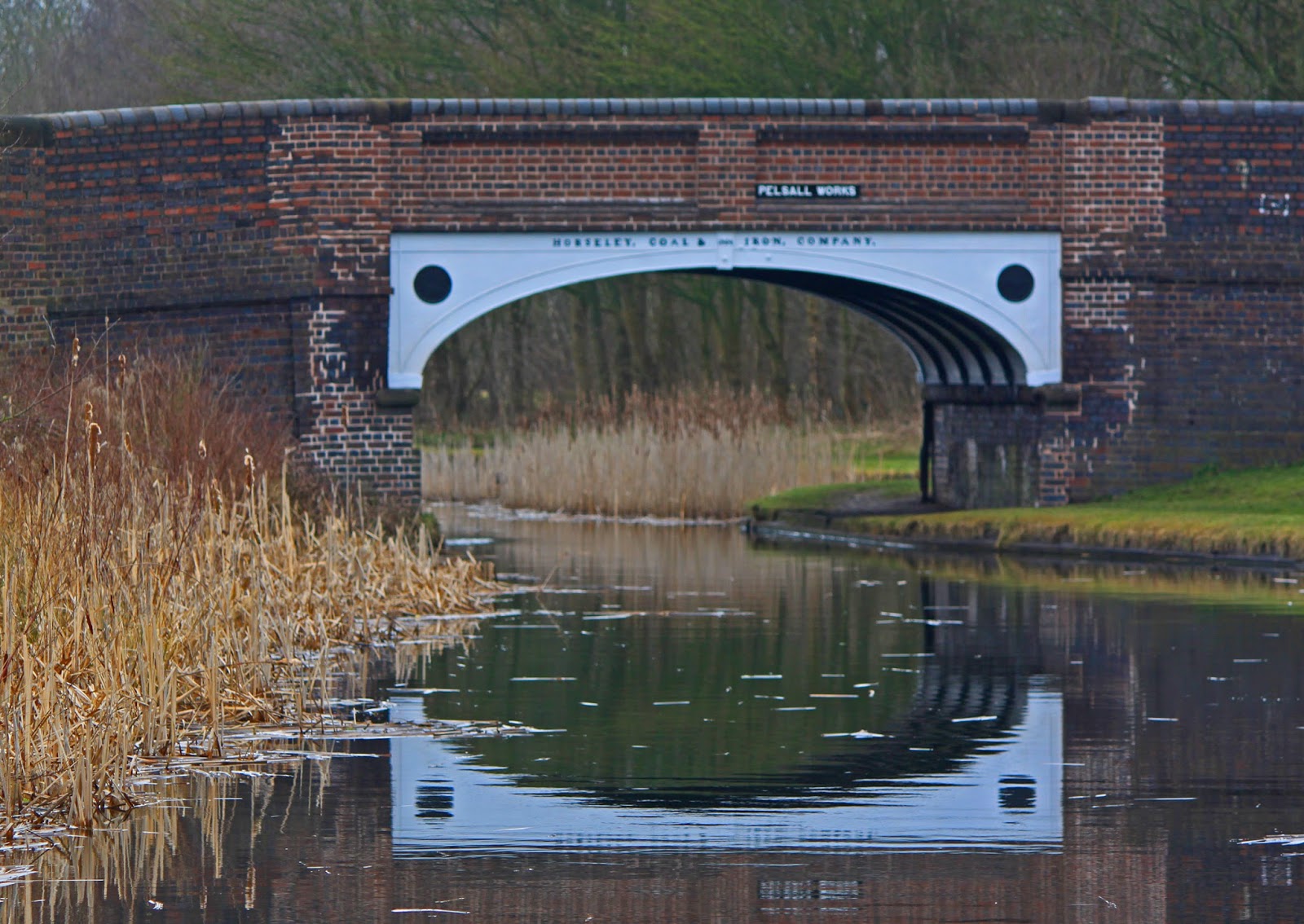 Captain Ahab's Watery Tales: Cold Water