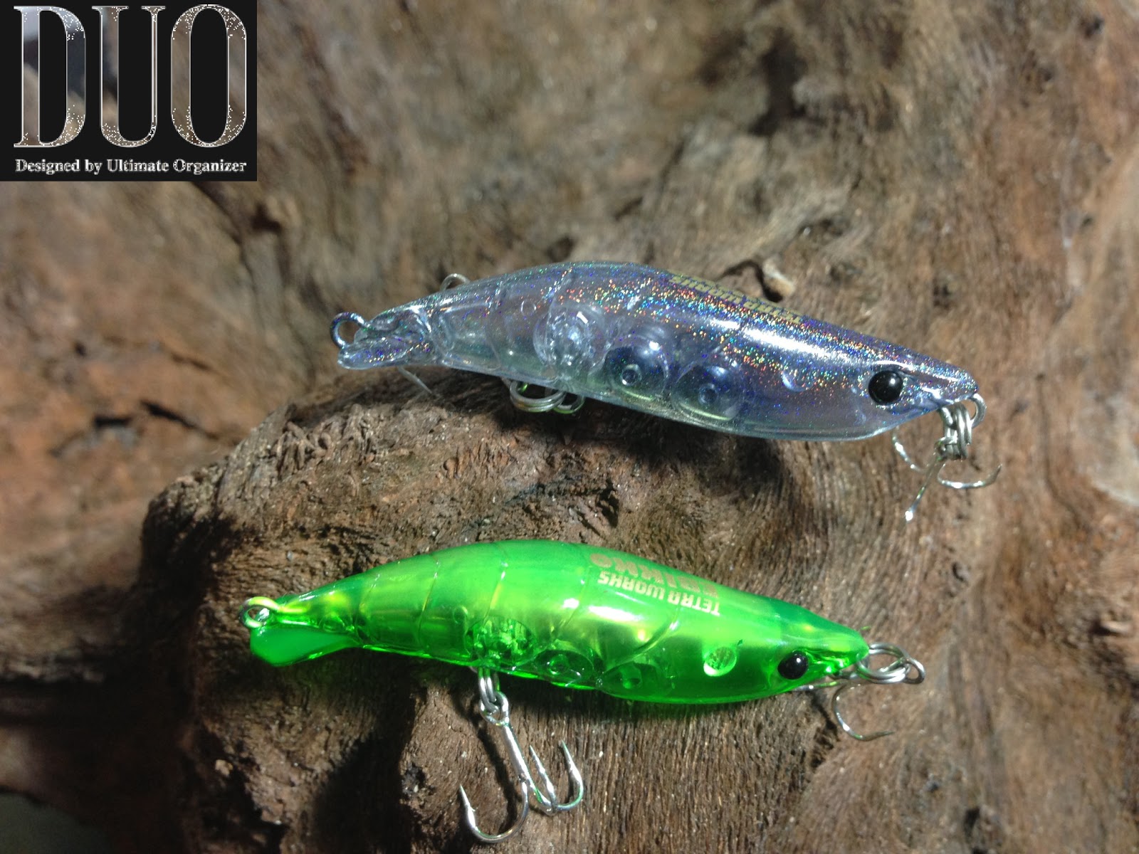 The Fish Cure: A Taste Of DUO Realis