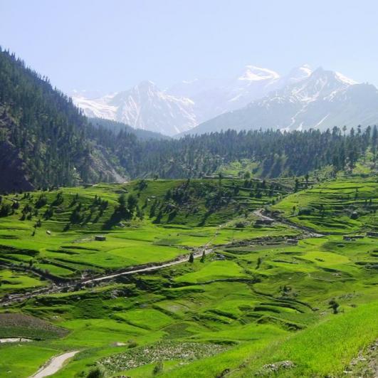 Pictures Folder of Gilgit Baltistan : Astore Valley of Gilgit Baltistan, GB