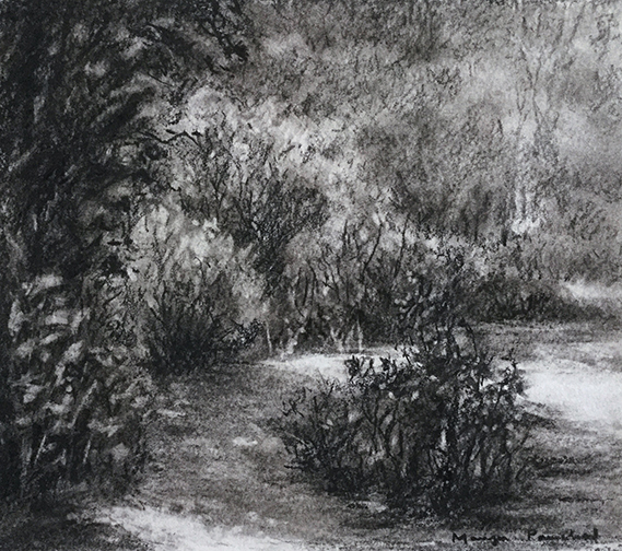 Easy Charcoal Drawings Landscapes