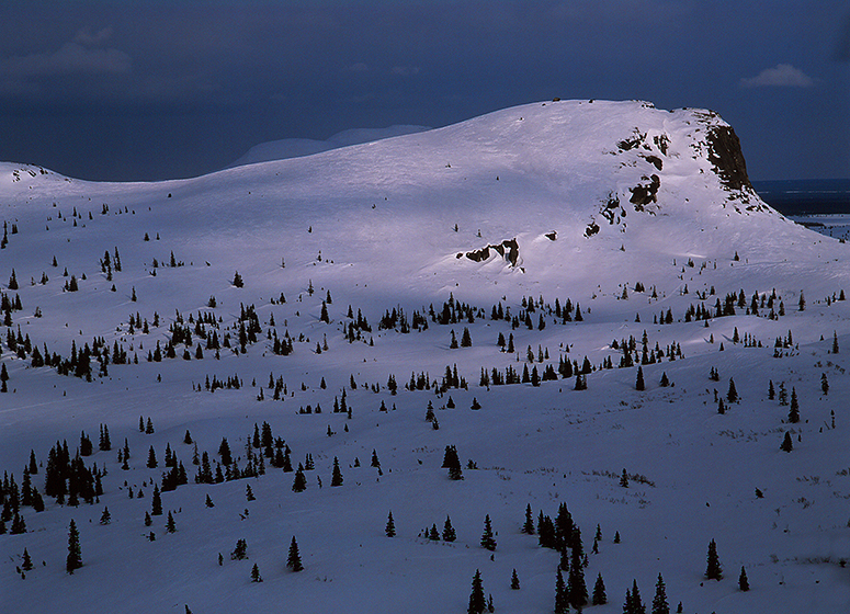 @LittleBearProd Blog: Cont, NO PEBBLE MINE, 201-300: Pictures from ...