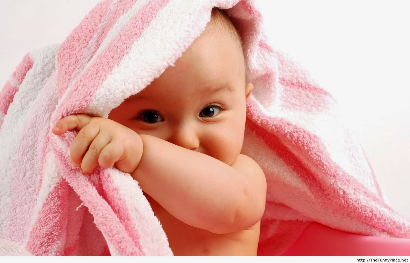 Kumpulan foto bayi keren dan lucu 2014 | Asal Berbagi