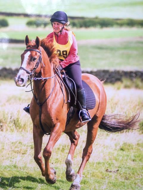 Teesdale Mercury: February 2017