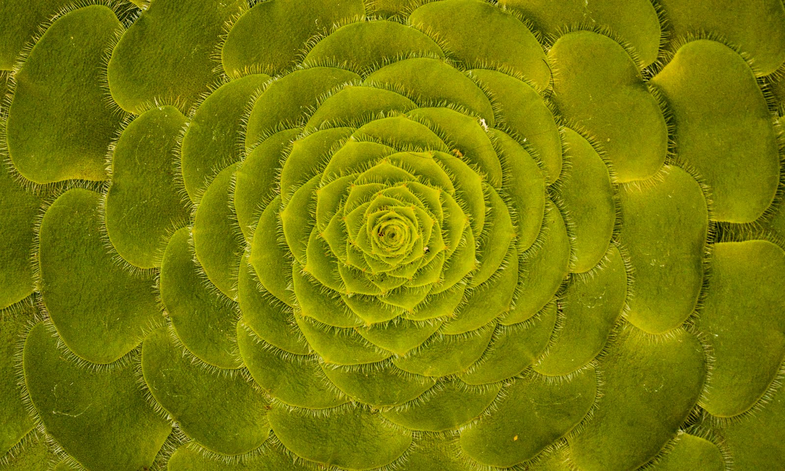 A Moment In Time Patterns Of God a-moment-in-time-patterns-of-god