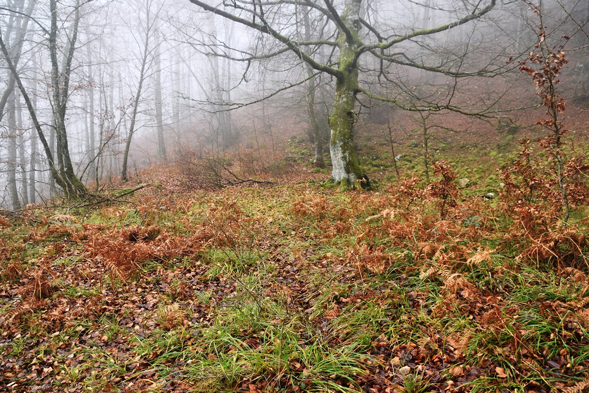 Mendiko osterak: Artola eta Erga Aginagatik zirkularra