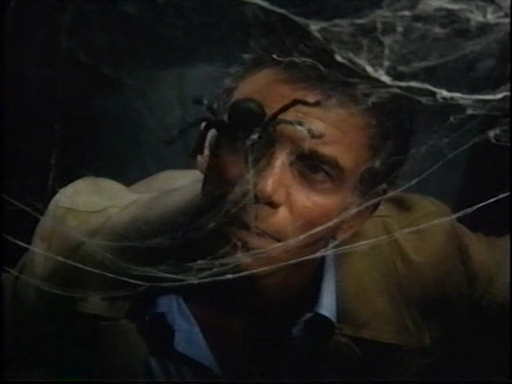 El Abismo Del Cine: Las mejores películas de arañas