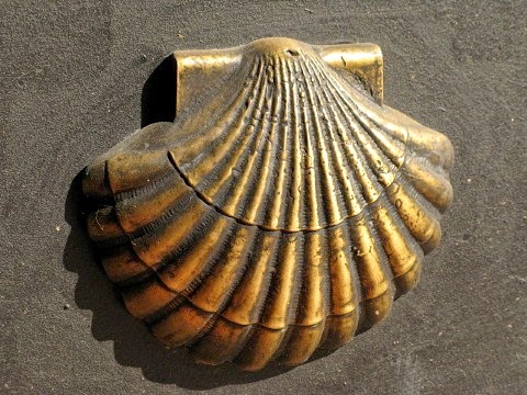 Anniesantiago13: St. James Scallop