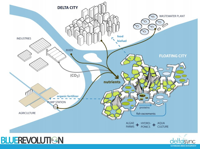petit programme 2021: blue revolution