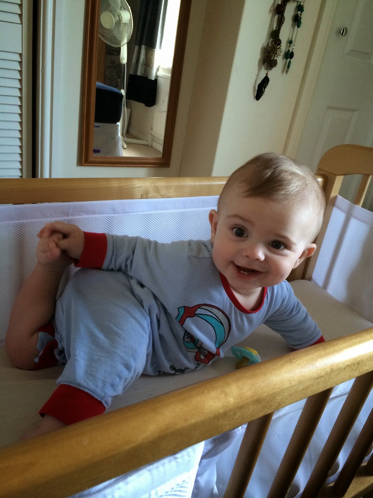 Mrs Bishop's Bakes and Banter: Bert is 7 Months Old Today! *cute baby ...