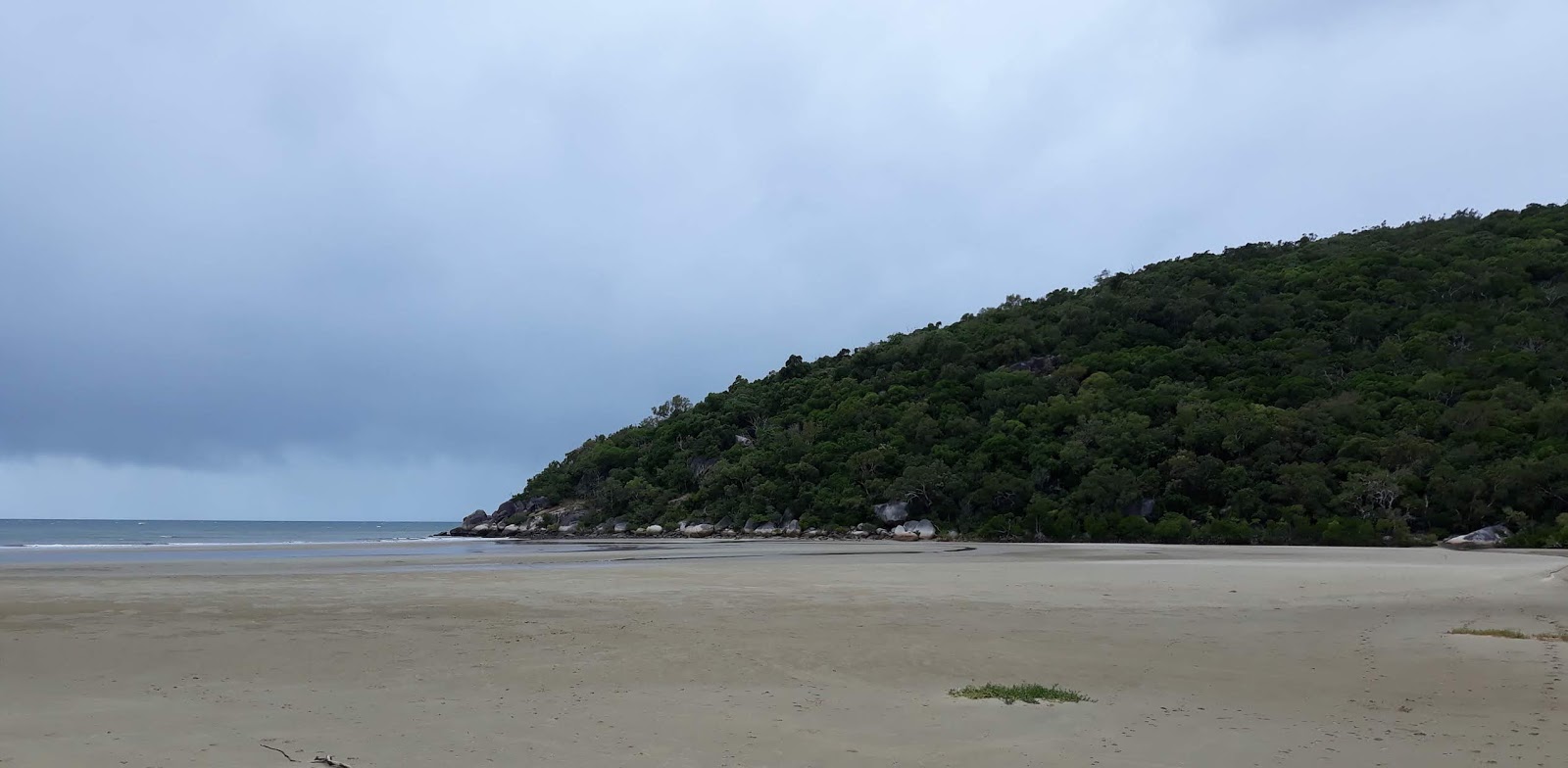 The Paddock: Cooktown