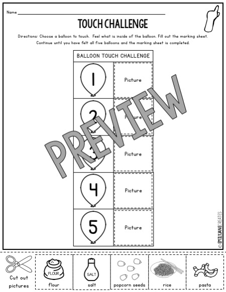 Emily Jane Creates: FIVE SENSES BUNDLE