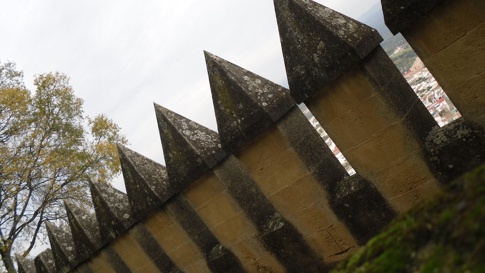 Fotografía y artículos: Ángulo aberrante.