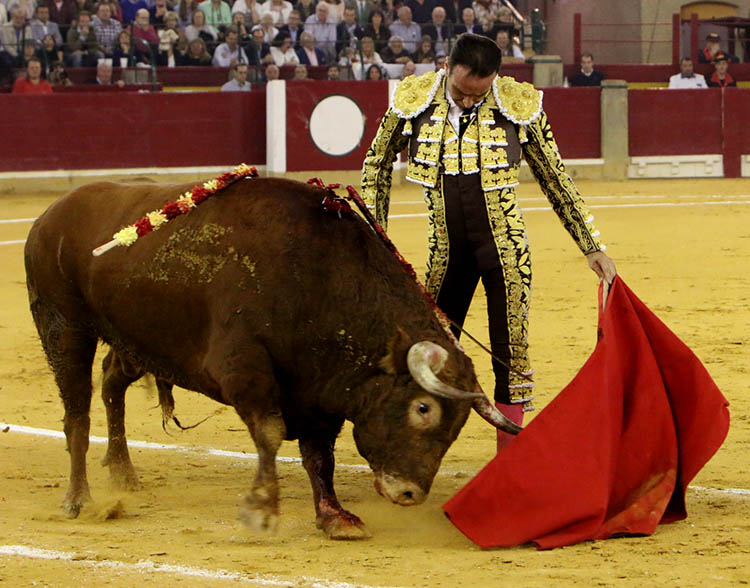 Toreo en Red Hondo: ¡TIESO COMO UNA REGLA!