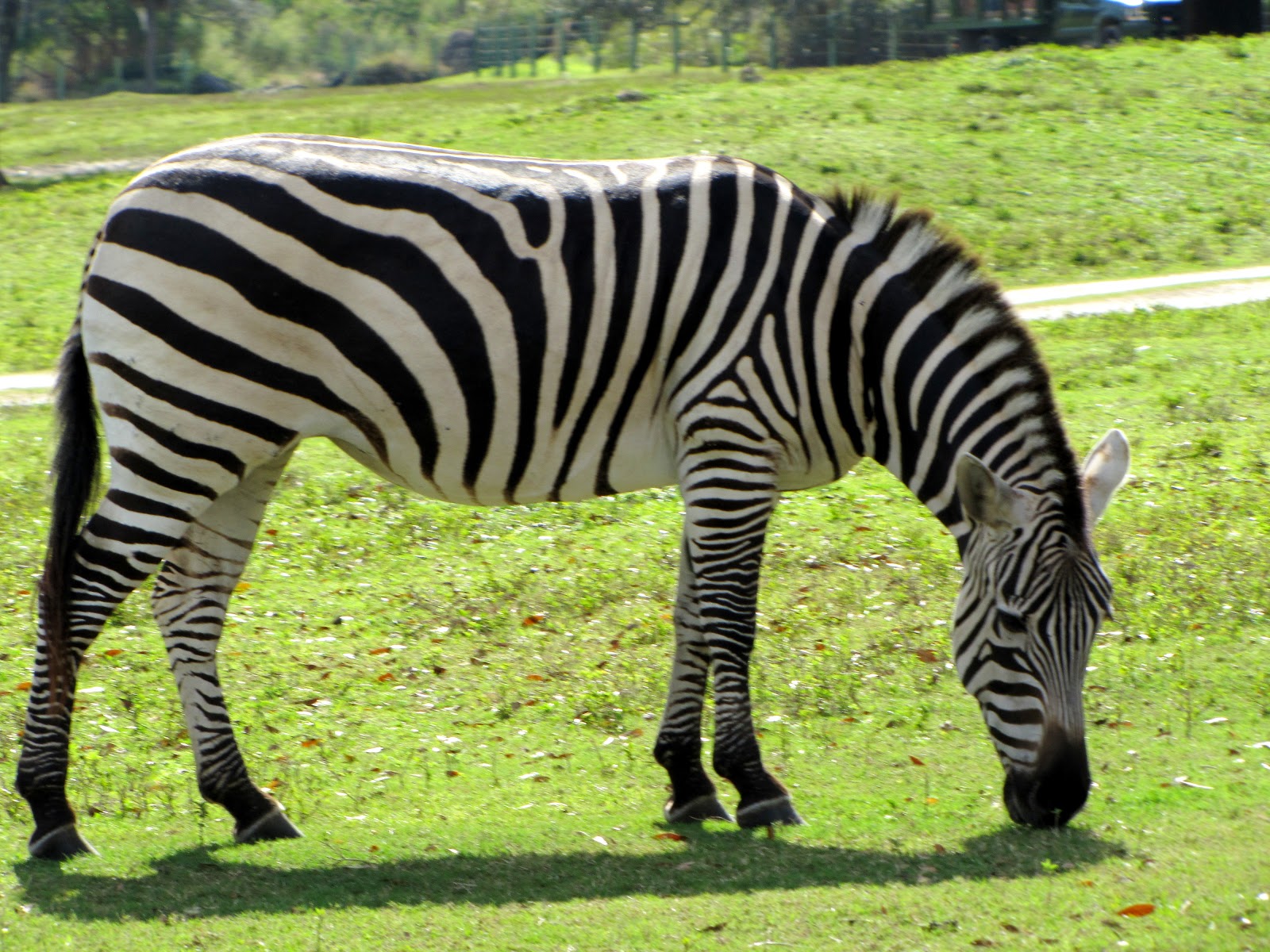 To Behold the Beauty: 1/1/13 - 2/1/13