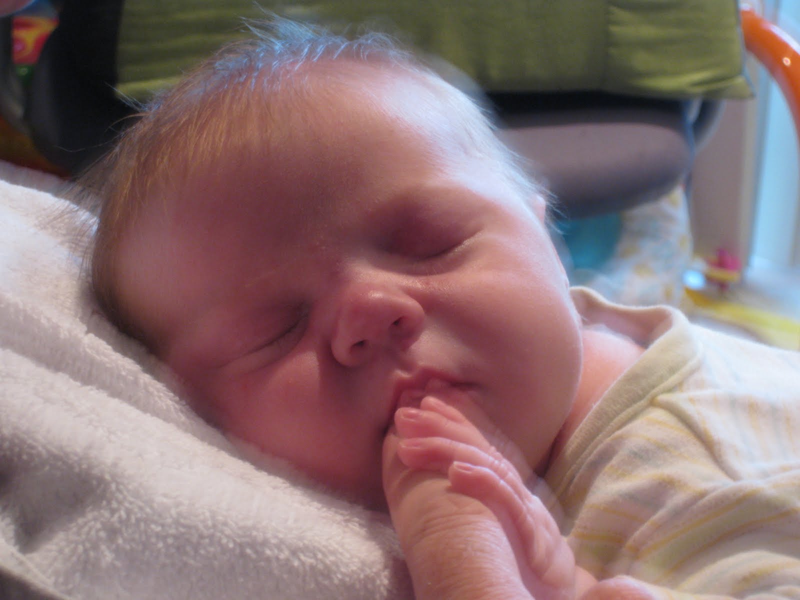 Sandy's Motherhood Blog: Food, Fun, Fashion: Fuzzy Baby Heads