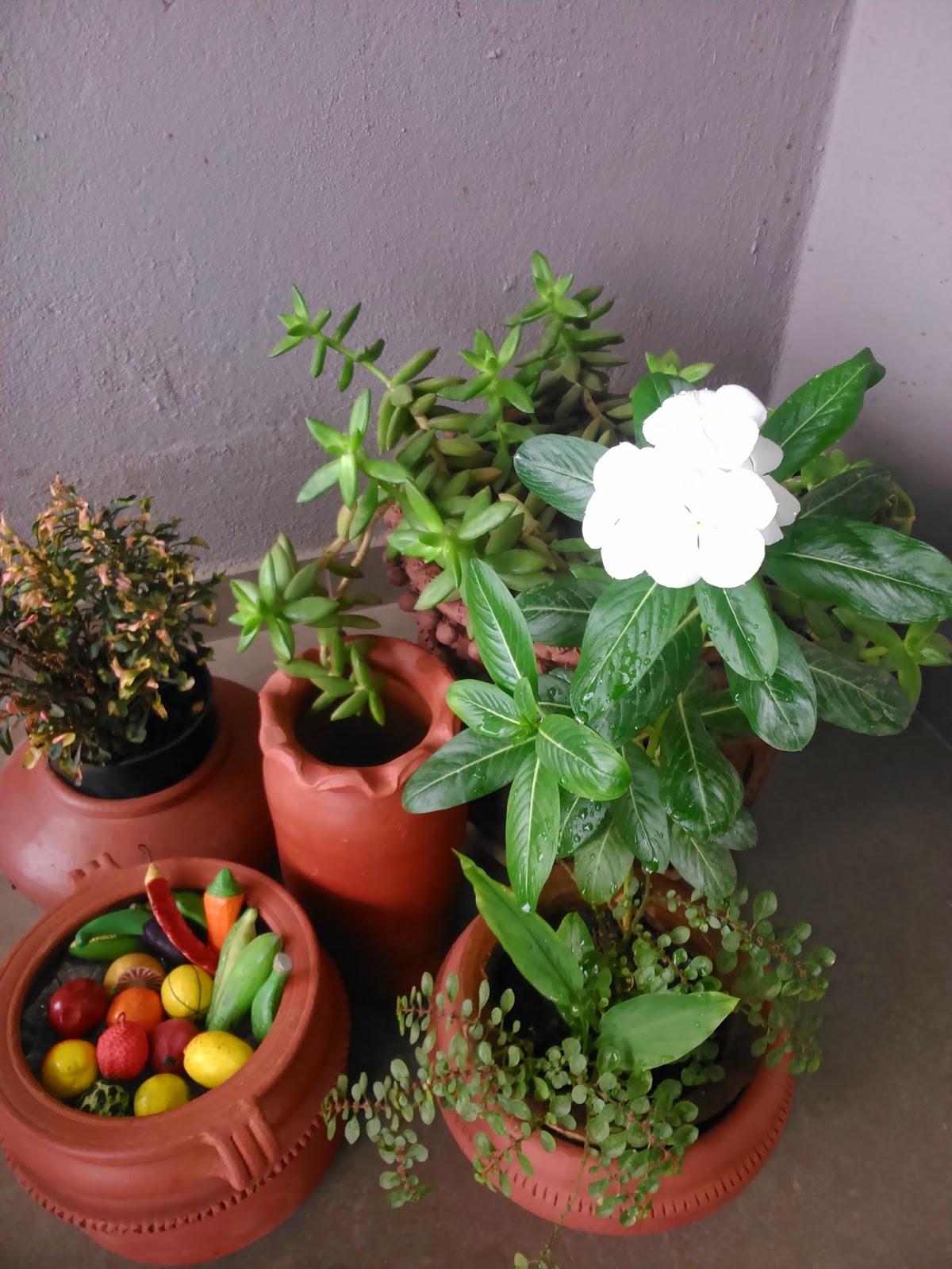 SAJAVAT: Pottery town Bangalore