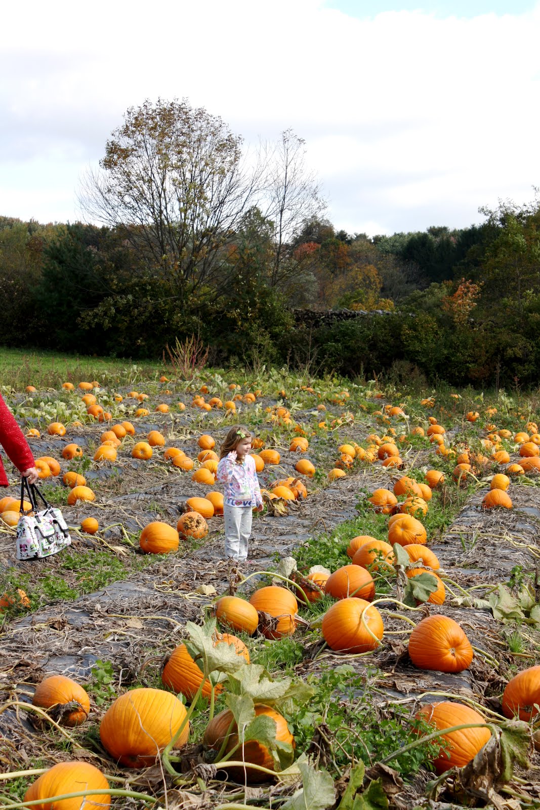 tales from the outhouse: the punkin patch