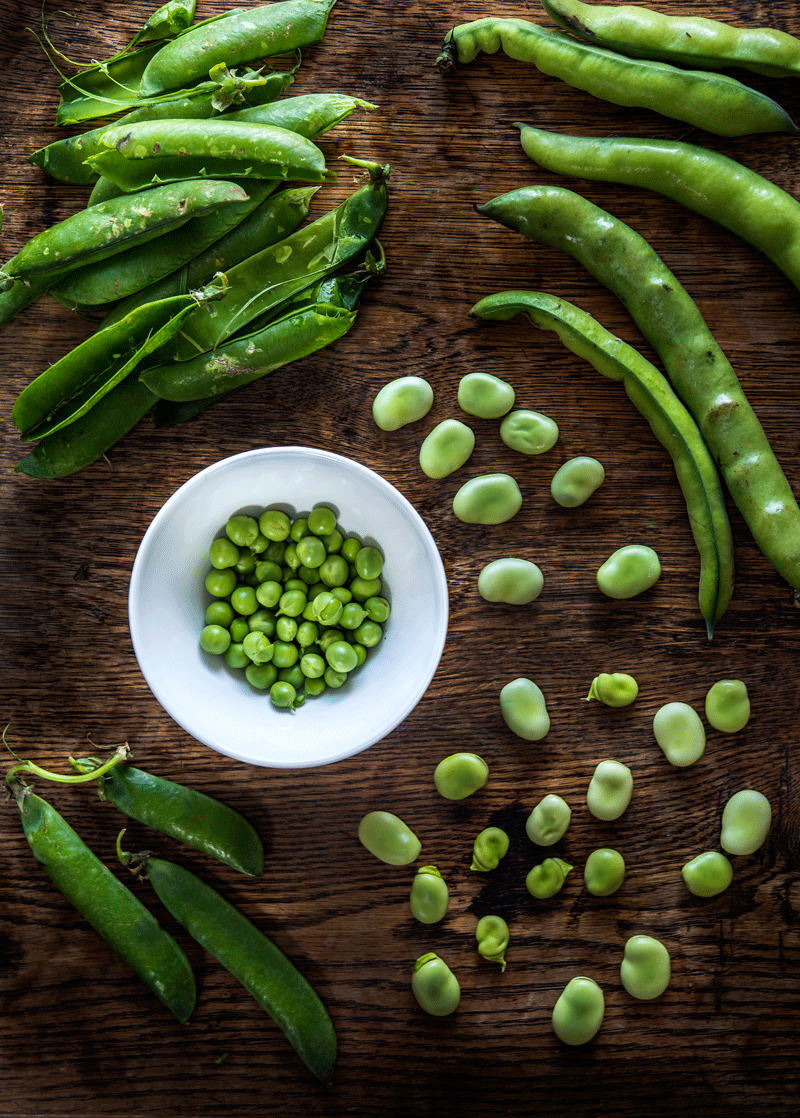 Spring Greens - A Salad to Celebrate the Season - WILD GREENS & SARDINES