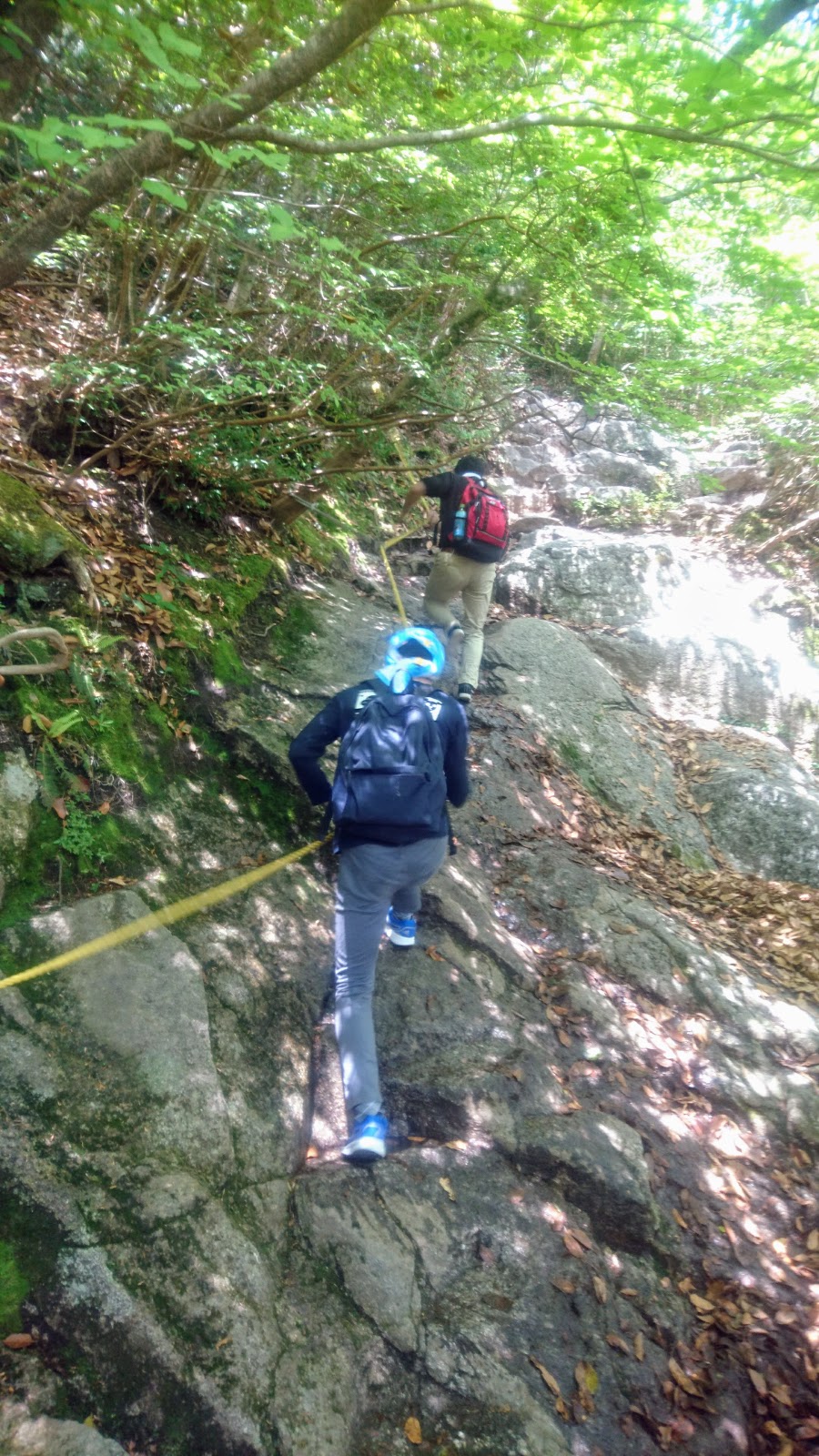 ジェイ山 - Kyushu Hiking: Mt. Homan (Homanzan 宝満山) 2018.5.4