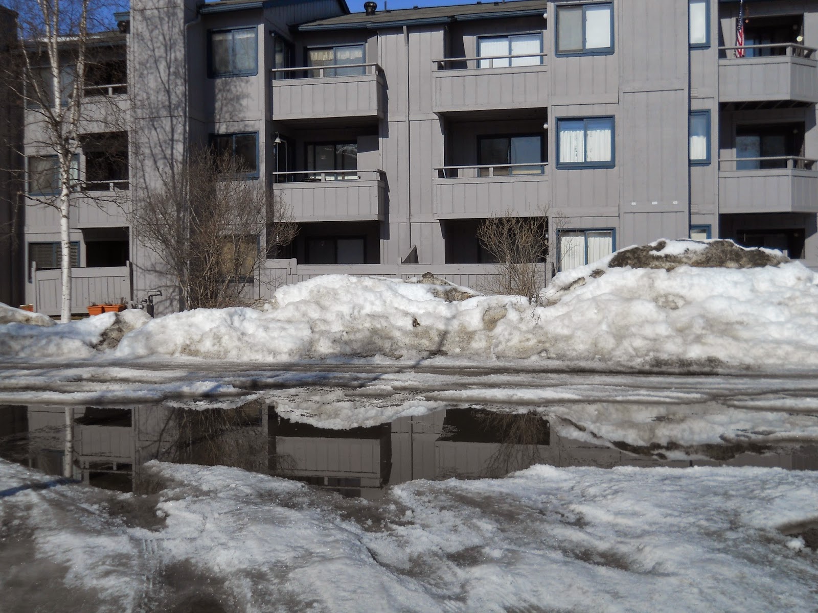 BOBBA CAPS DOXOLOGY: MAR 27, 14 .. AN ALASKAN 'SNOW PLOW'