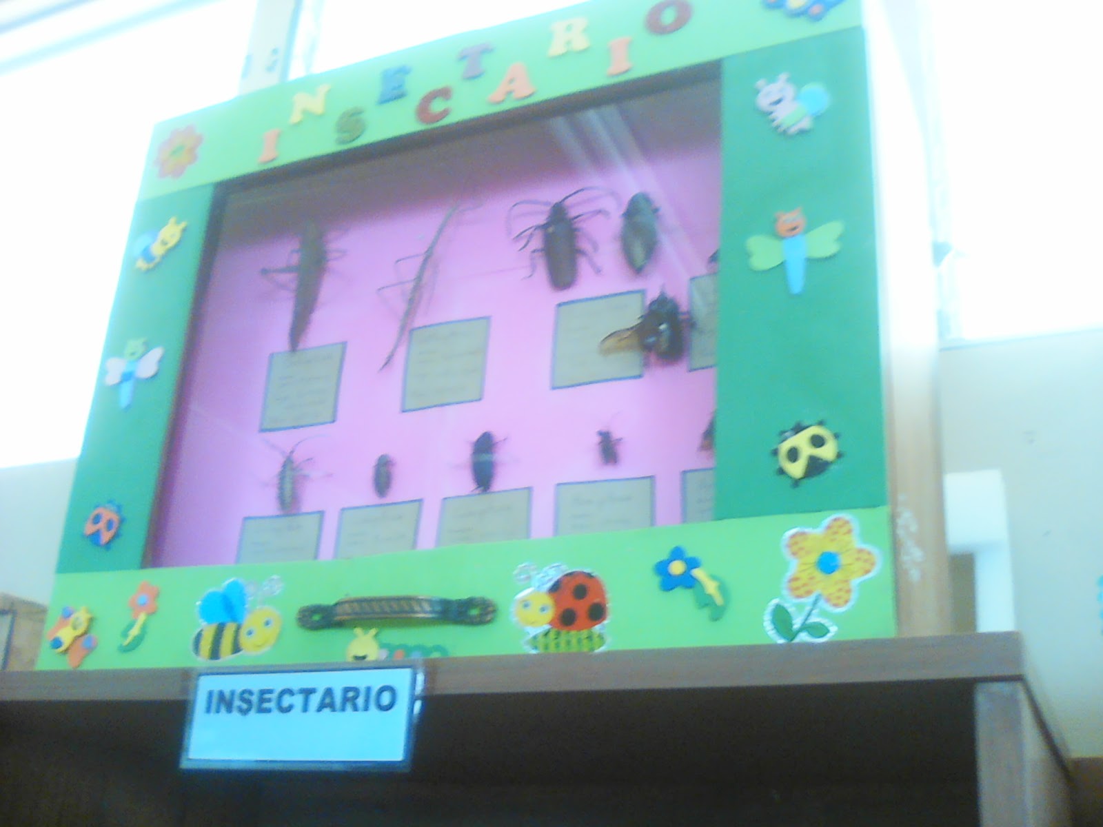 LABORATORIO DE CIENCIAS NATURALES: INSECTARIO