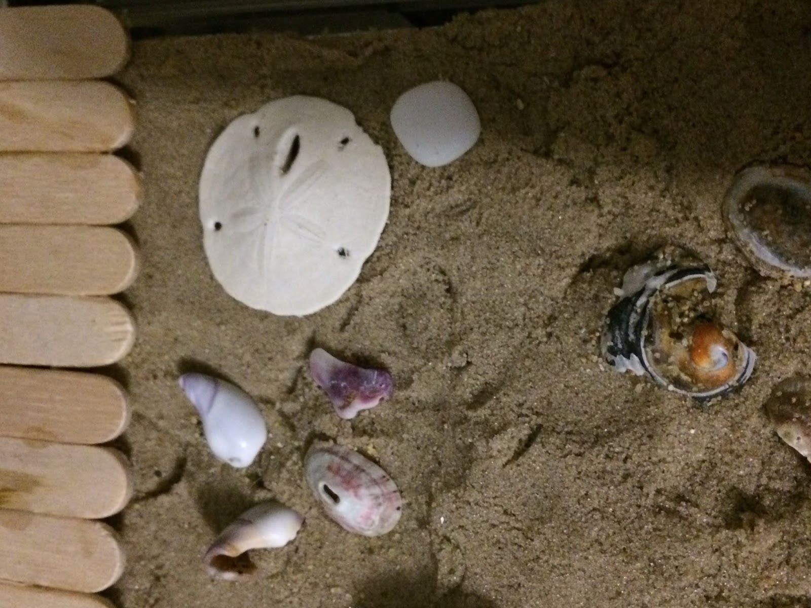 BooBear Designs: Beach Zen Garden