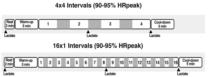 GYM-Science Update: Bands Aid W/ Deadlifts? 16x1 or 4x4 for HIIT ...