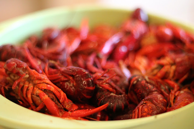 Pisces Parade: crawfish etouffée